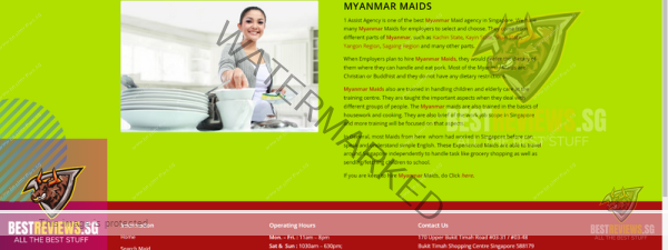 12 Best Myanmar Maid Agency Singapore (2024) | Best Reviews SG