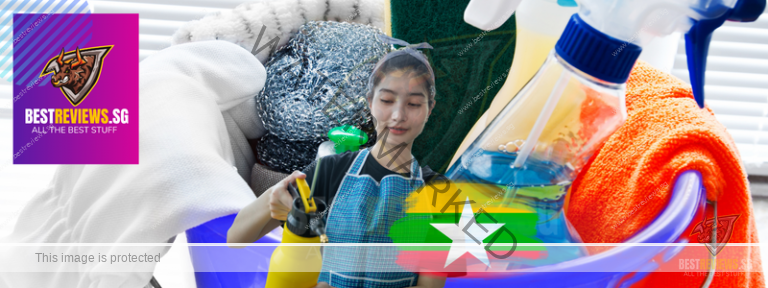 10 Best Myanmar Maid Agency Singapore | Best Reviews SG