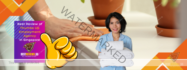 12 Best Myanmar Maid Agency Singapore (2024) | Best Reviews SG