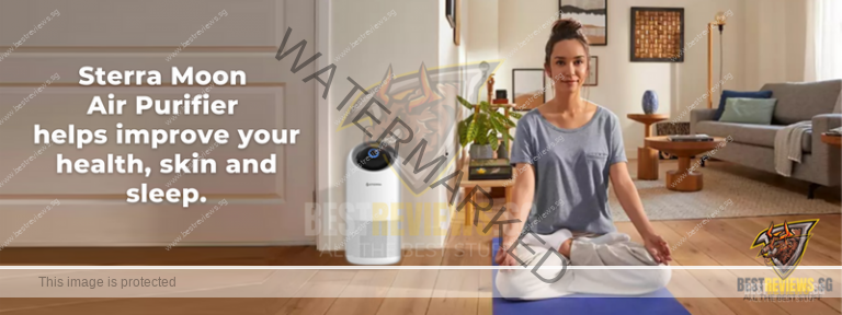 Sterra Moon Air Purifier Review And Test | Best Reviews SG
