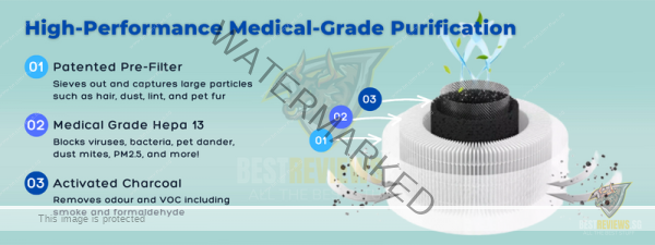 Sterra Moon Air Purifier Review And Test | Best Reviews SG