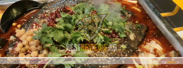 Chongqing Grilled Fish Restaurant (2025) - Review By Best Reviews SG