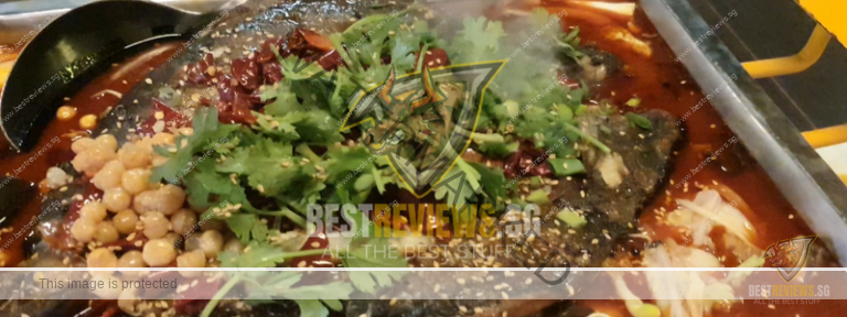Chongqing Grilled Fish Restaurant (2025) - Review By Best Reviews SG