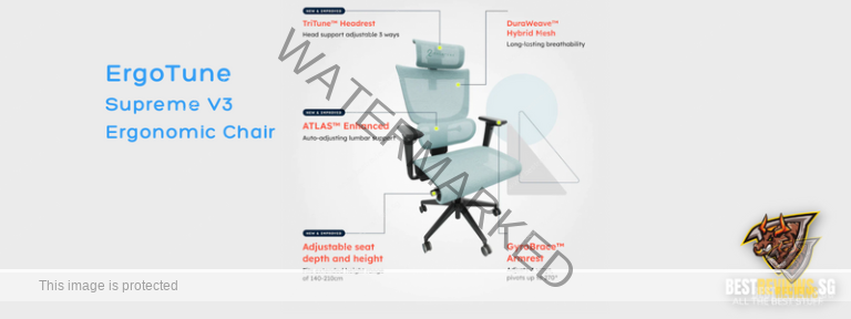 ErgoTune Supreme V3 Tested & Reviewed 2025 | Best Reviews SG