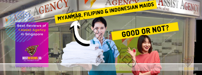 1 Assist Agency Review Singapore (2025) | Best Reviews SG
